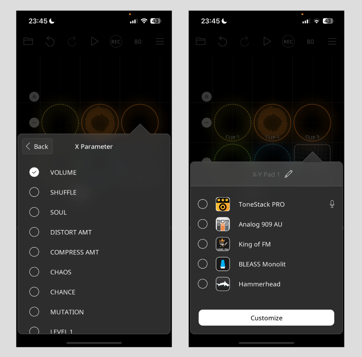 How to assigns buttons / sliders do trigger AUv3 app (not effect) functions? — Loopy Pro Forum